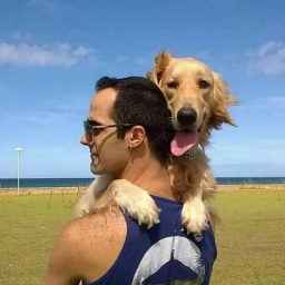 NFSMods - PLUS License Plates for NFS Underground 2